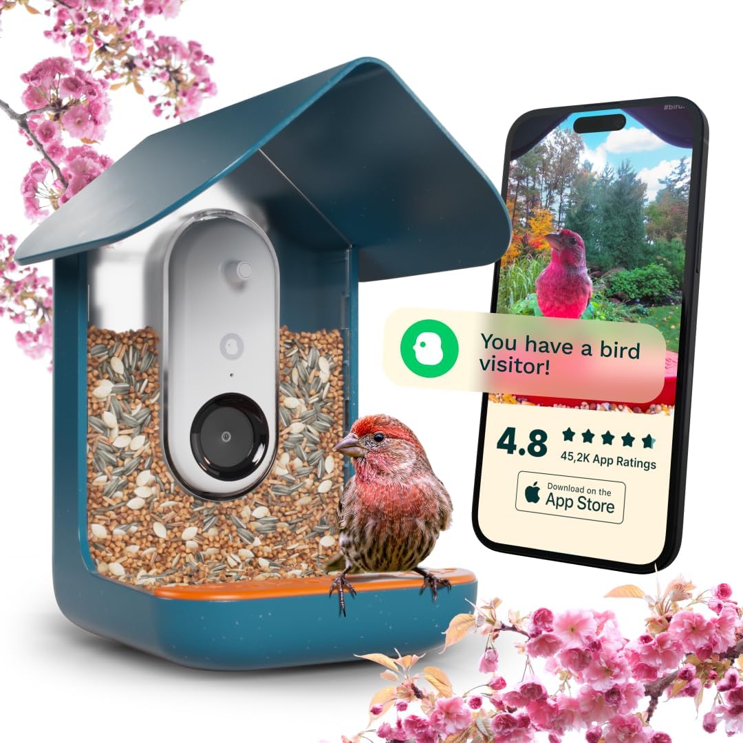 2026's Top Rated Bird Feeder Cameras Tested. One New Model Captures ...